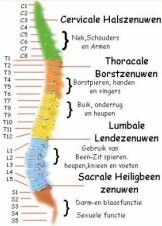 Beknelde zenuw in de nek, Oorzaak & Behandeling