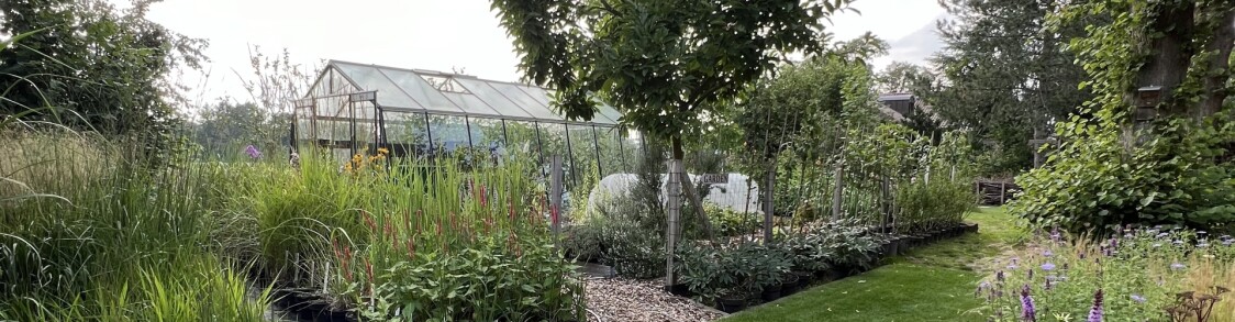 Eco Moestuin | Praktisch leren moestuinieren - 100% ecologisch