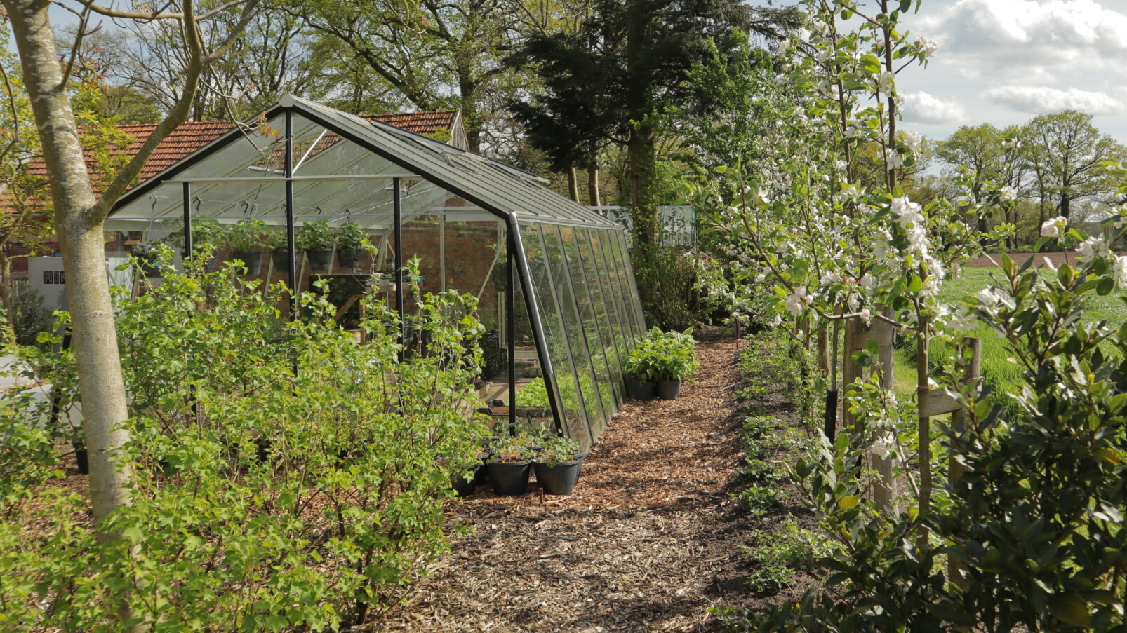 Eco Moestuin | Praktisch leren moestuinieren - 100% ecologisch