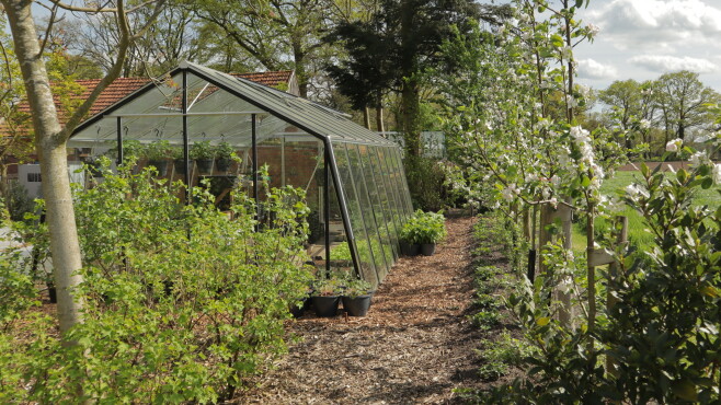 Eco Moestuin | Praktisch leren moestuinieren - 100% ecologisch