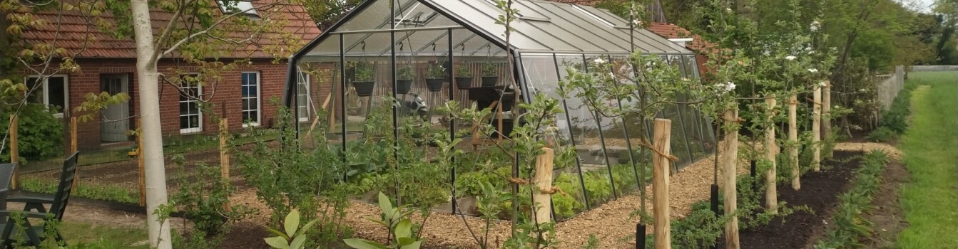 Eco Moestuin | Praktisch leren moestuinieren - 100% ecologisch