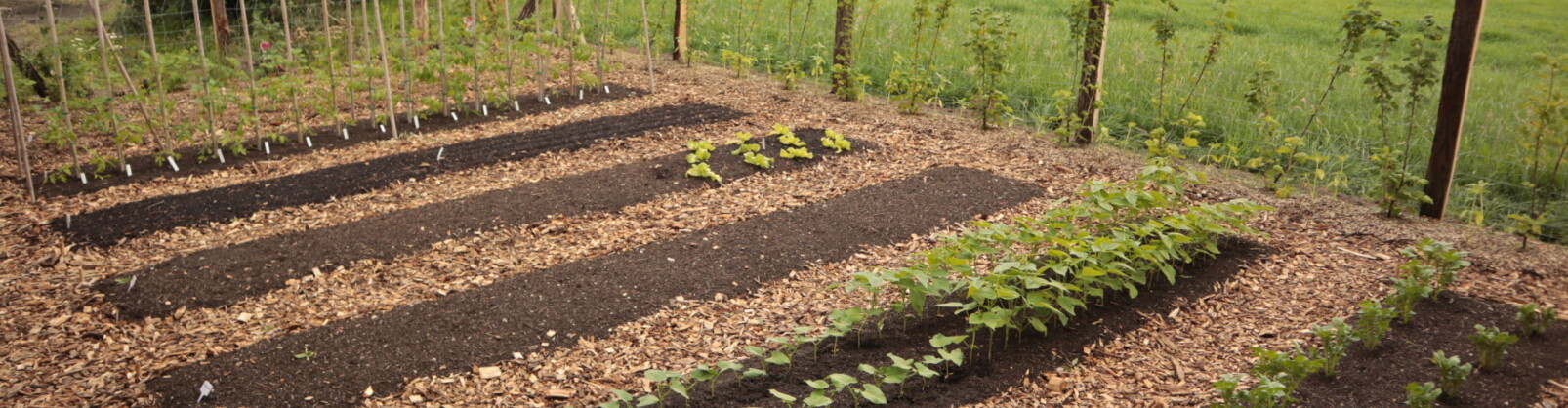 Moestuintips - Praktische video's - Leren moestuinieren