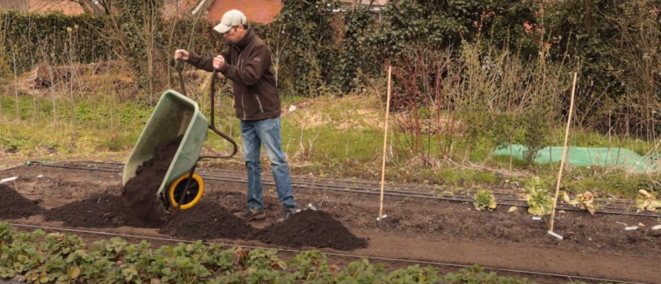 Moestuin aanleggen: In 5 stappen je eigen moestuin!