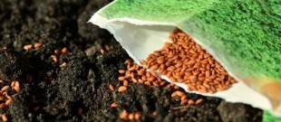 Moestuin plannen: Teeltplan maken 2023