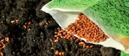 Moestuin plannen: Teeltplan maken 2023