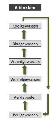 Moestuin plannen: Teeltplan maken 2023