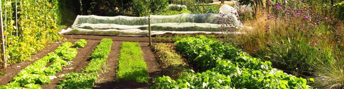 Moestuin advies - Eco Moestuin adviseert op jouw locatie