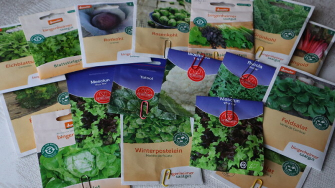 Moestuin zaden bestellen en bewaren