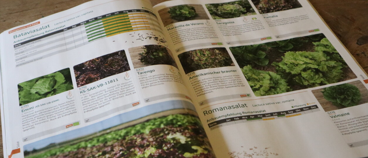 Moestuin aanleggen: In 5 stappen je eigen moestuin!