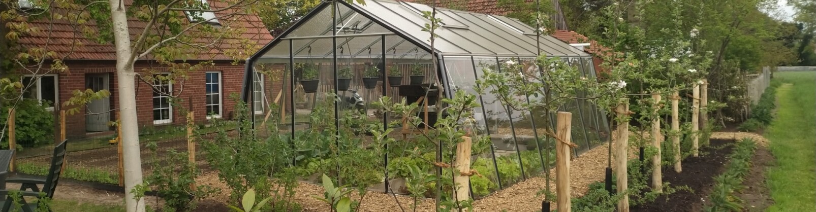 Eco Moestuin | Praktisch leren moestuinieren - 100% ecologisch