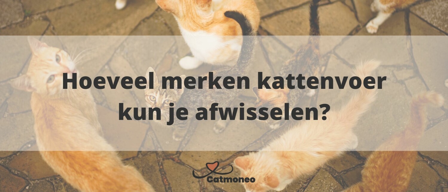 Hoeveel merken kattenvoer kun je afwisselen?