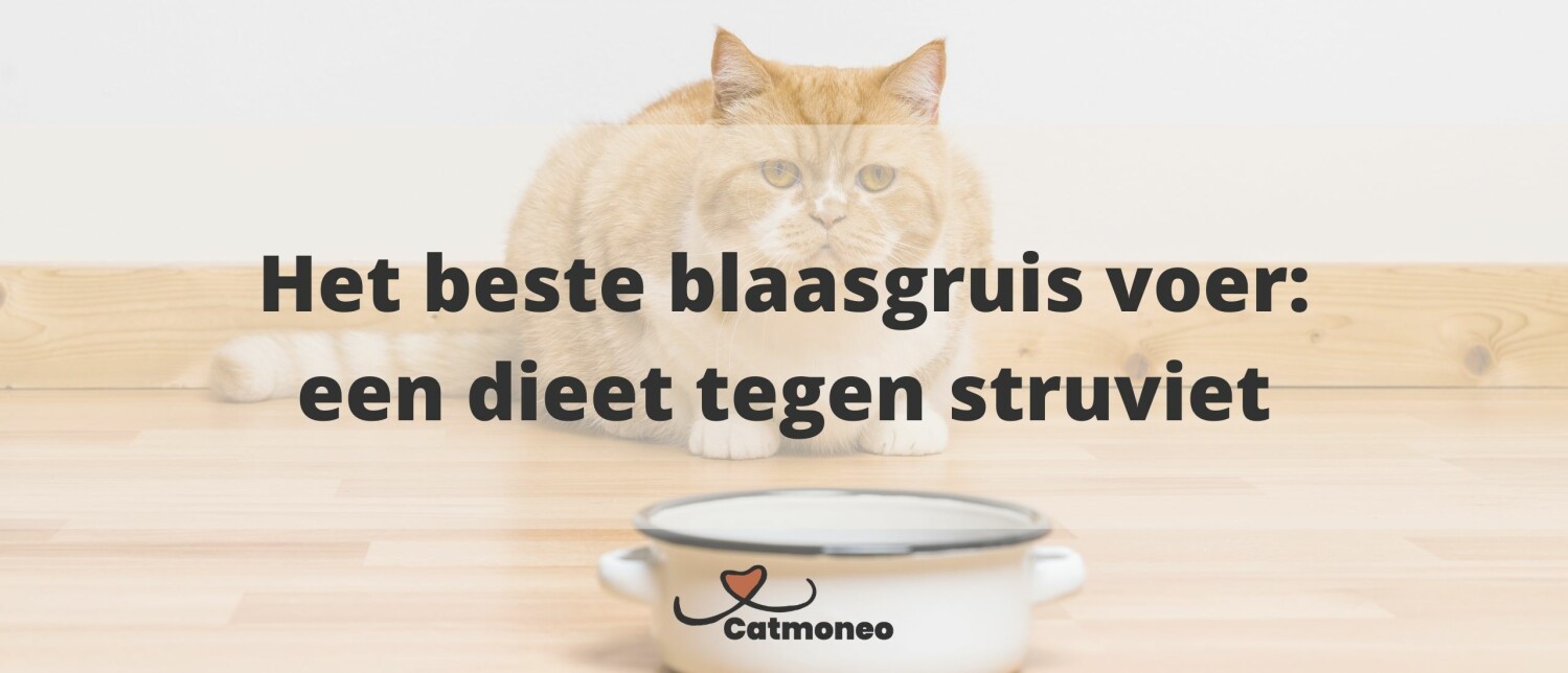 Wil jij je kat de beste voeding geven?