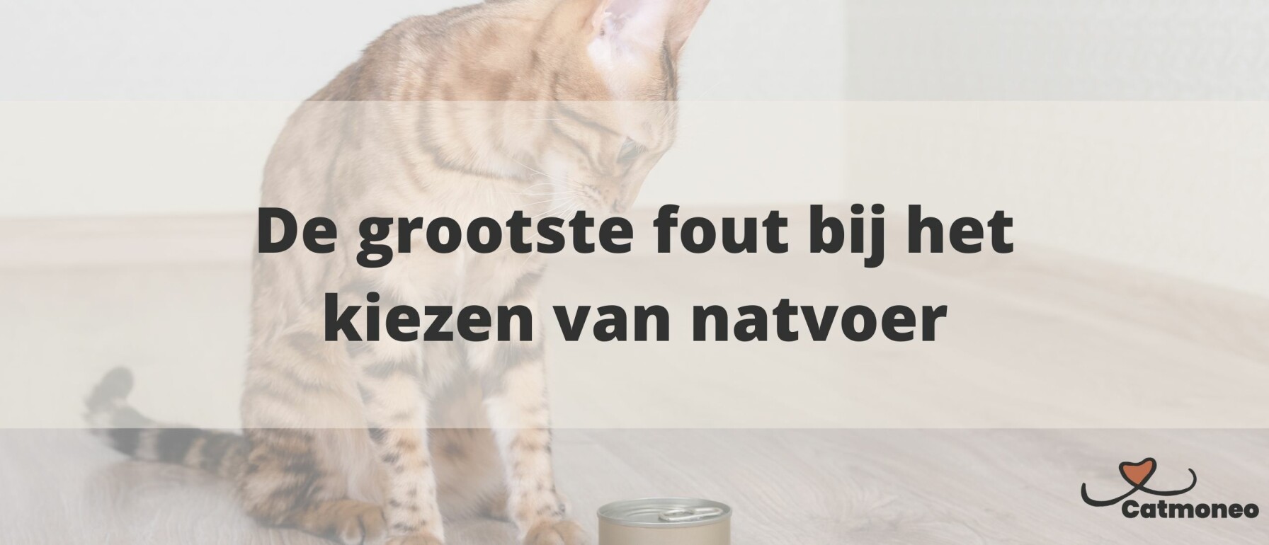 Wil jij je kat de beste voeding geven?