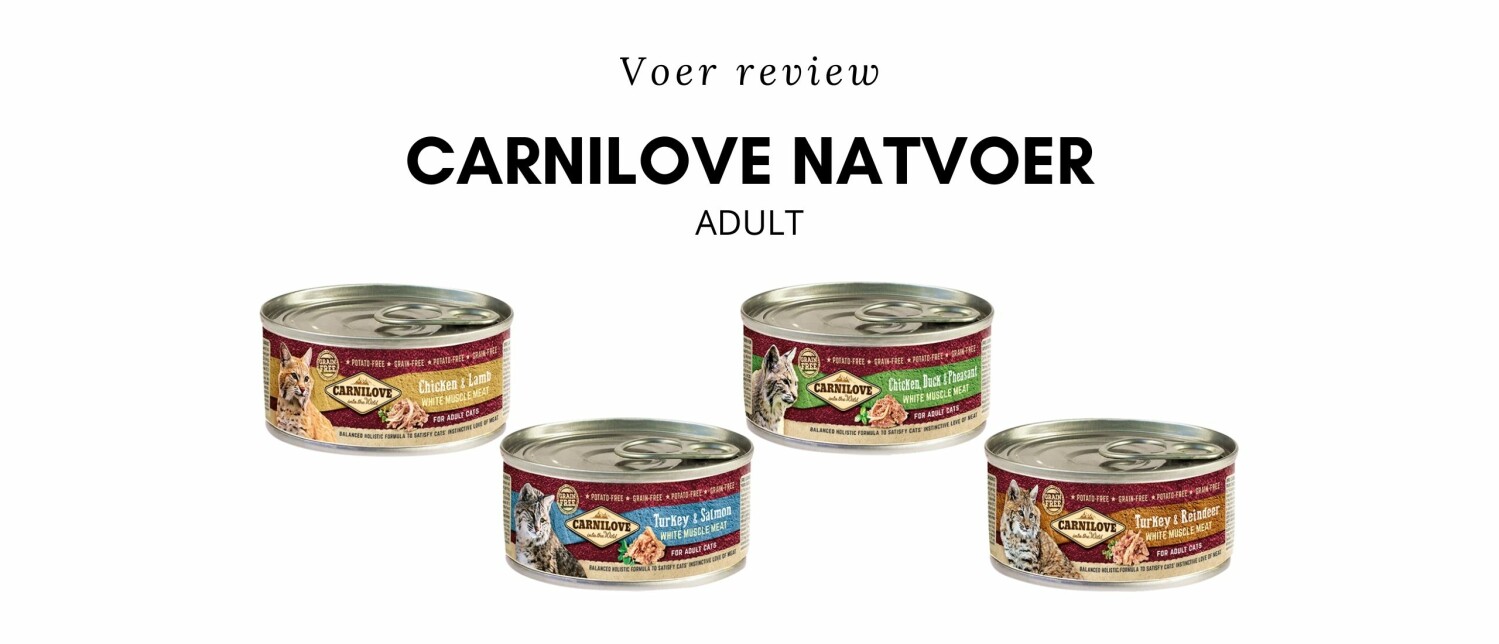 KVV en natvoer voerpuzzels voor katten