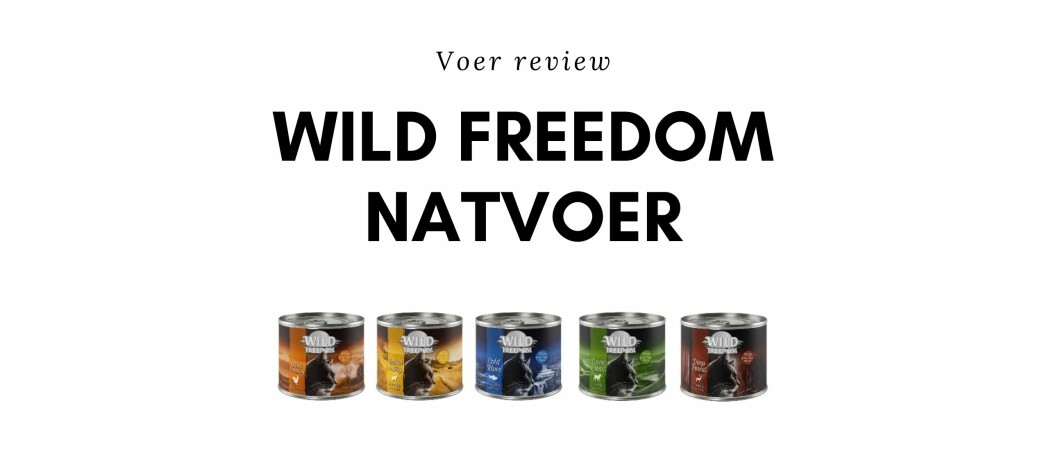 Voerverrijking: Voerpuzzels en slow feeders voor katten