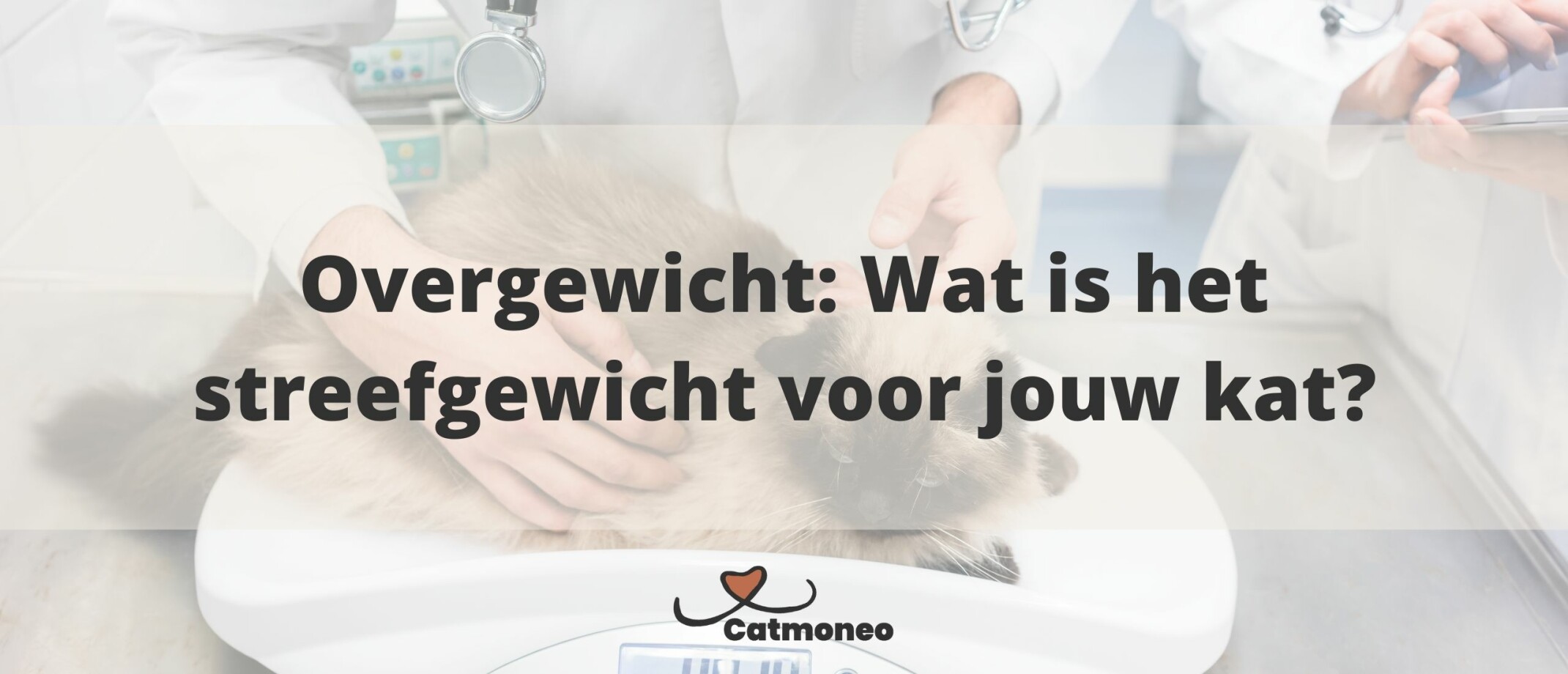 Hoe zwaar mag jouw kat zijn?