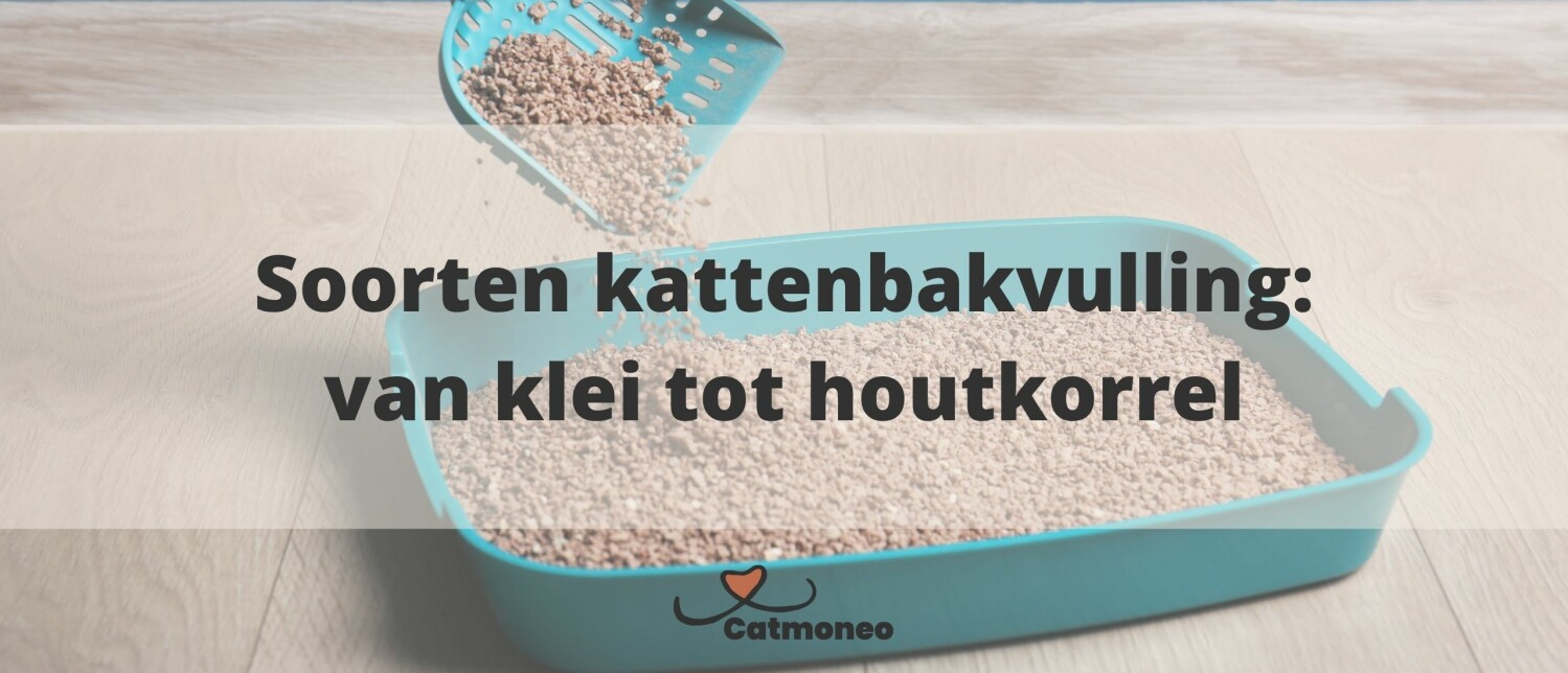 Soorten kattengrit: van klei tot houtkoreel