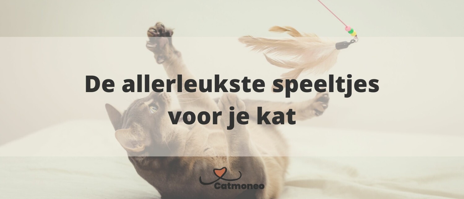 19x Kattenspeeltjes maken: Fun voor jou en je kat!