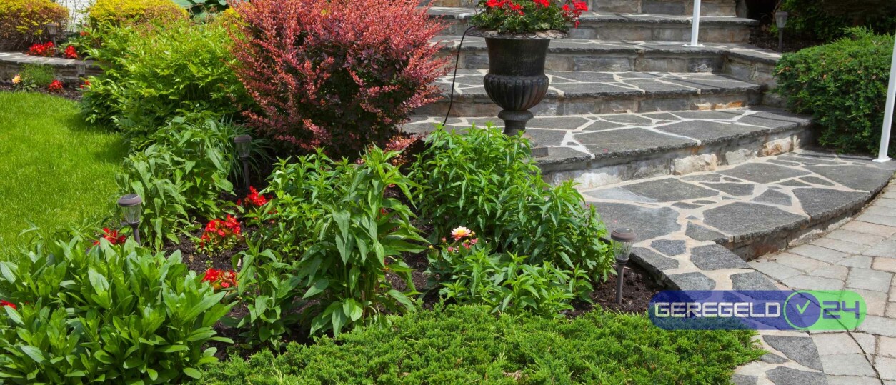 Creëer een prachtige siertuin: Tips en inspiratie voor het ontwerpen ...