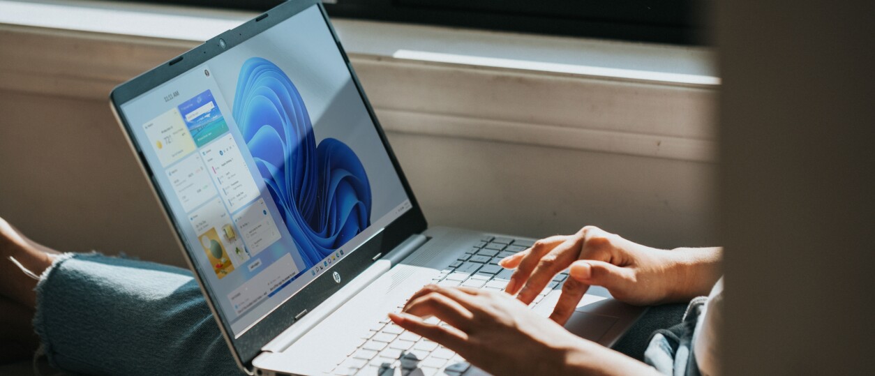 Windows 11 Enterprise vs Pro: the differences