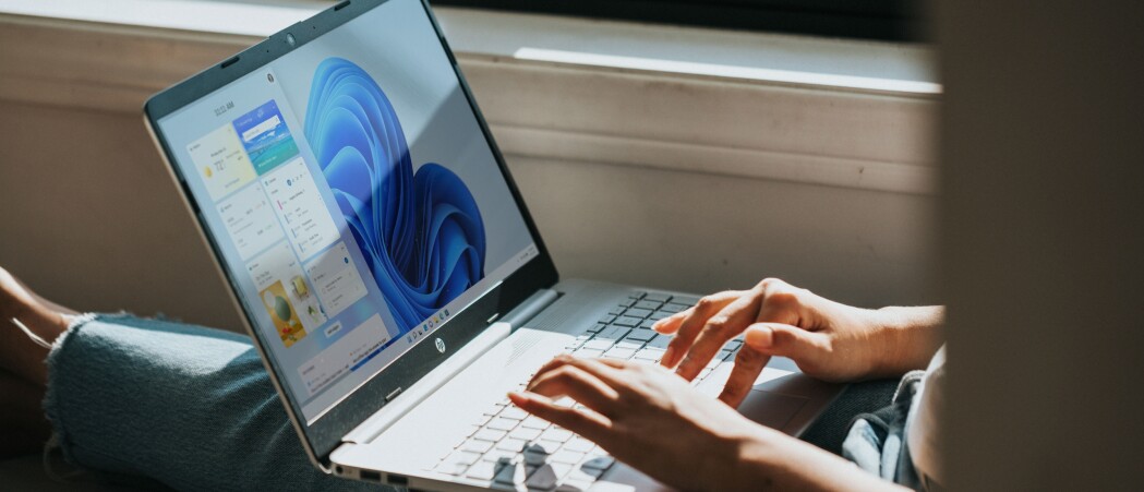 Windows 11 Enterprise vs Pro: the differences