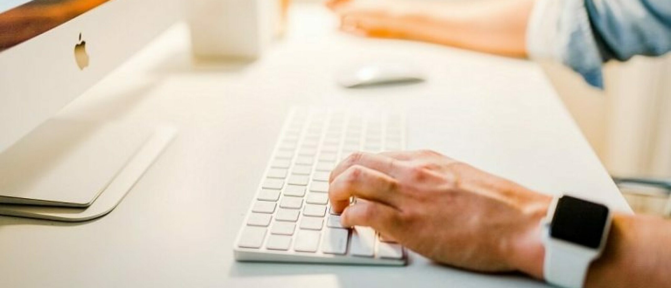 Microsoft Office 2021 Standard vs. Professional Plus