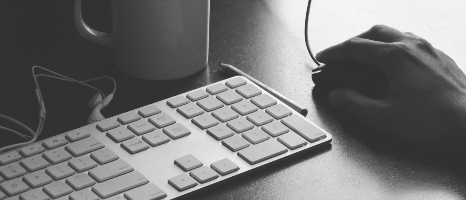 Microsoft Project 2021 Standard vs Professional: What are the differences?