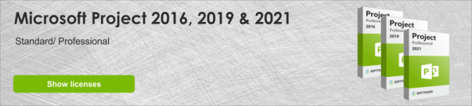 Microsoft Project 2021 Standard vs Professional: What are the differences?
