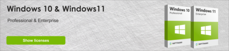 Windows 11 Enterprise vs Pro: the differences