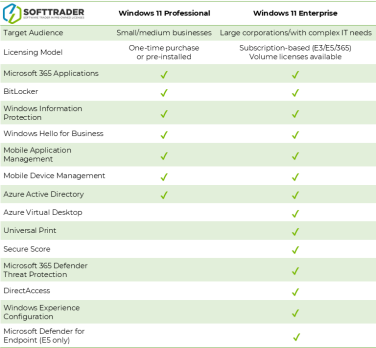 Windows 11 Enterprise vs Pro: the differences