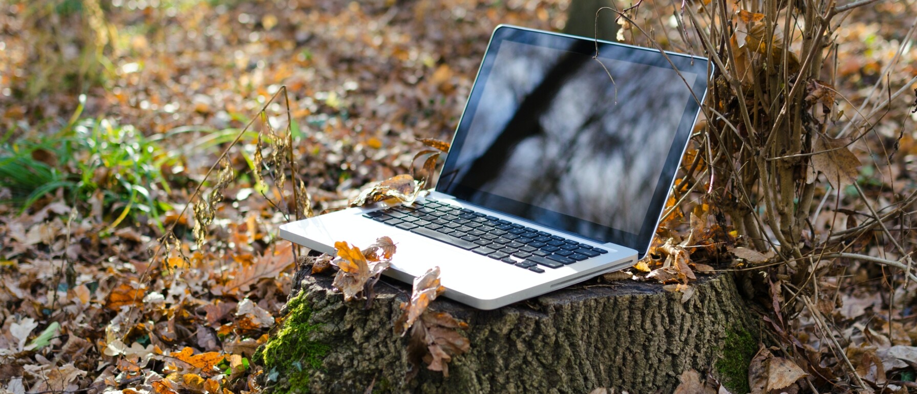 SQL Server 2022 Express - Softtrader