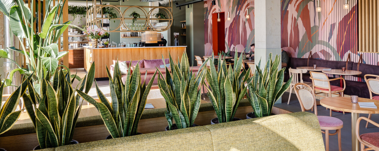 Interieur Flow yoga & food