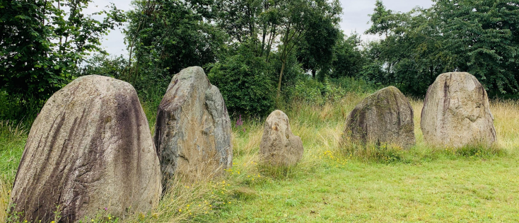 Wat zijn de 4 Rouwtaken