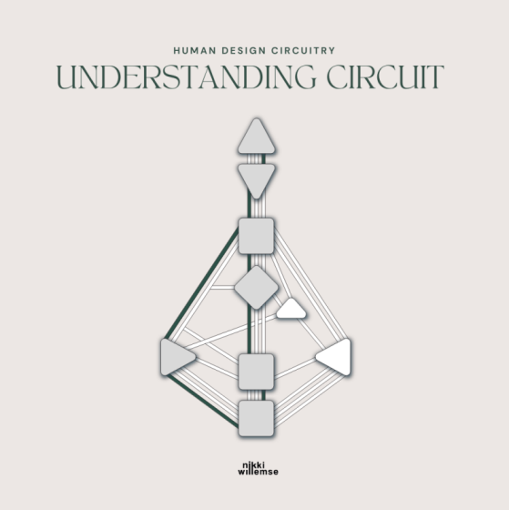 Human Design circuitry