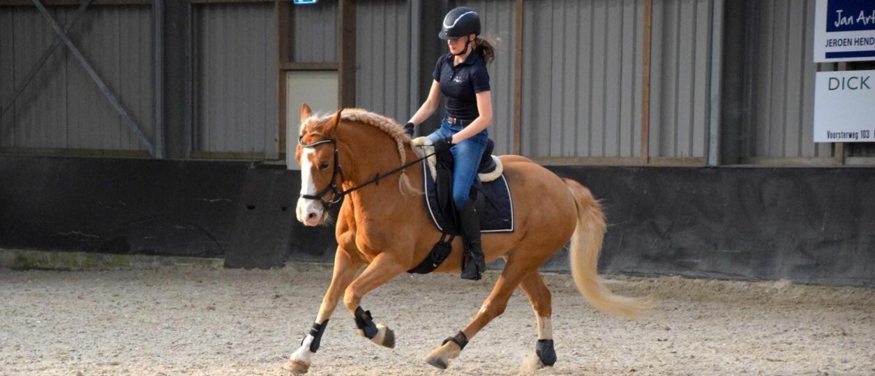Borstelen van een paard