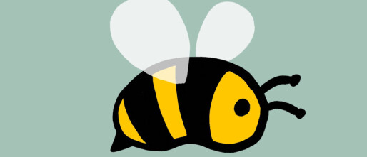 Wat te doen met een hommelnest in je tuin of huis?