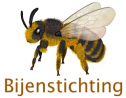 Bijenportretten: leer maandelijks een bij kennen