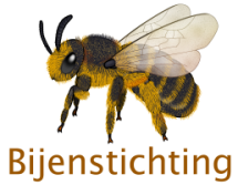 Bijenportretten: leer maandelijks een bij kennen