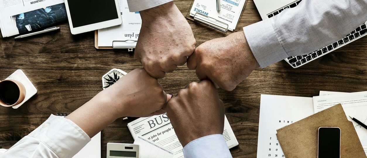 Microsoft Office 2021 Standard vs. Professional Plus