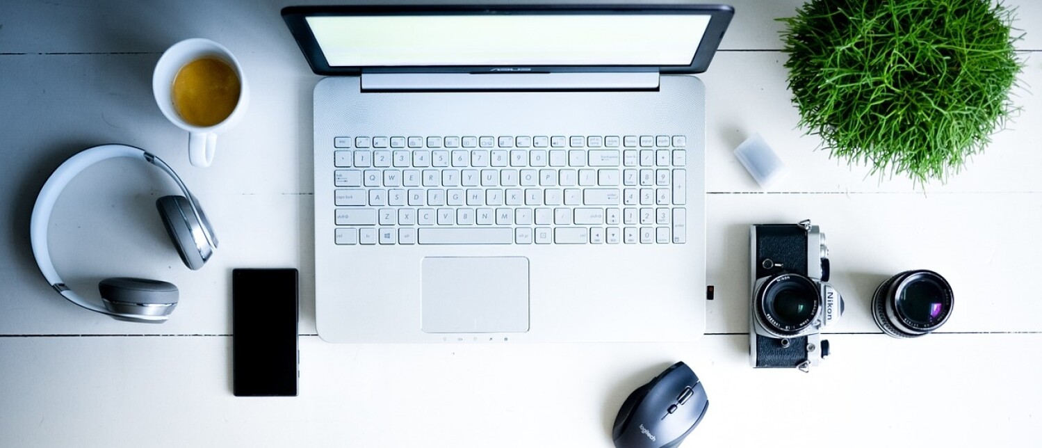 Microsoft Office 2021 Standard vs. Professional Plus