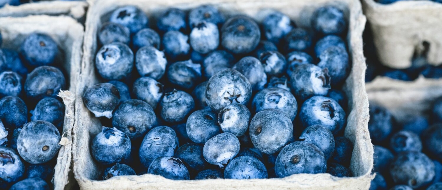 The History and Origin of Blueberries