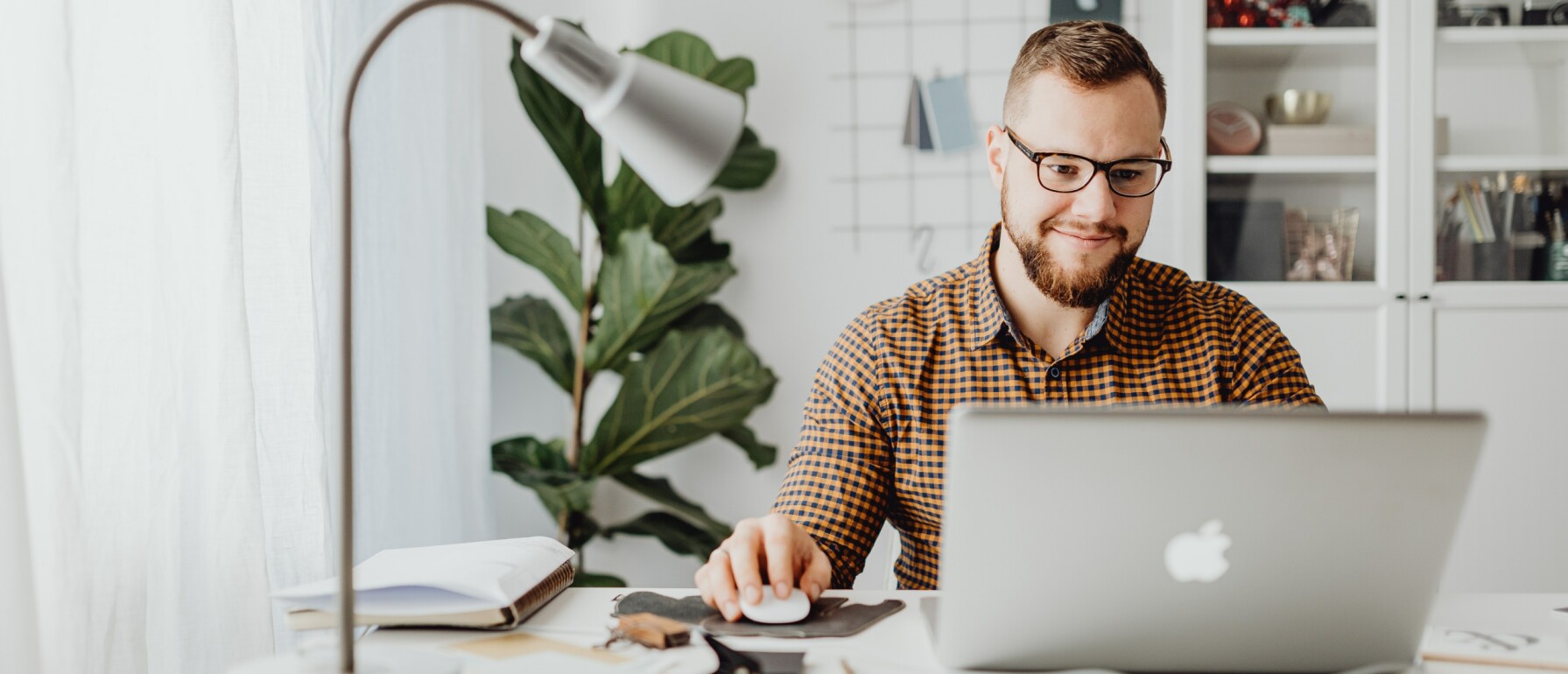 Microsoft Project 2021 Standard vs. Professional