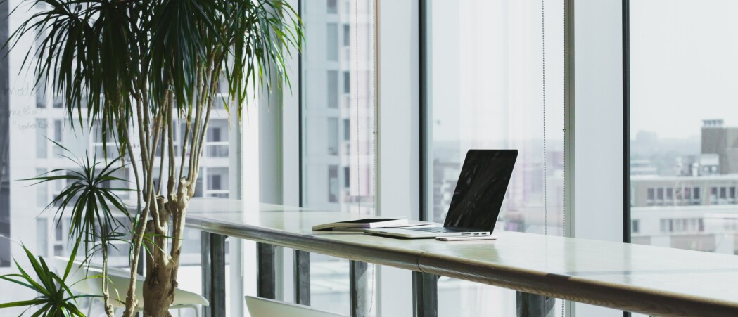 Office 2021 y Office LTSC: todo lo que necesita saber - Softtrader