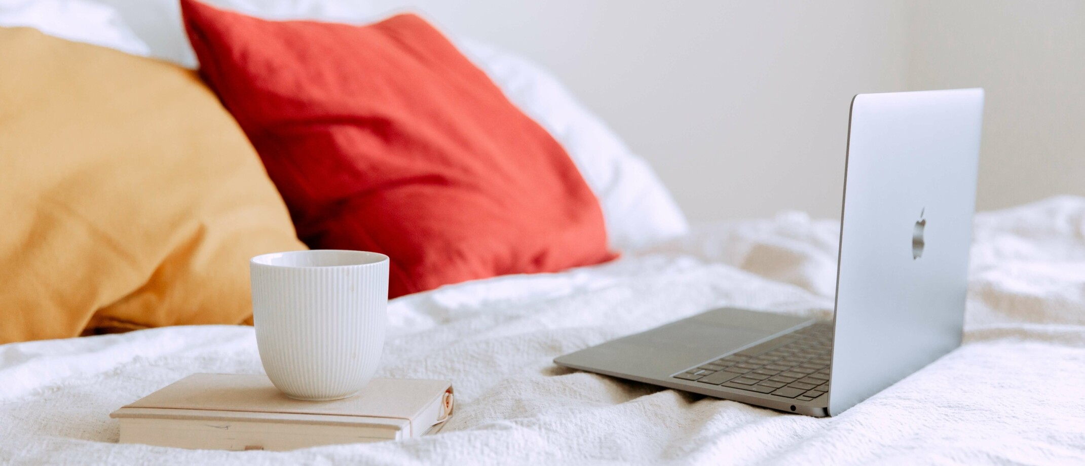 O que é a Microsoft Publisher?