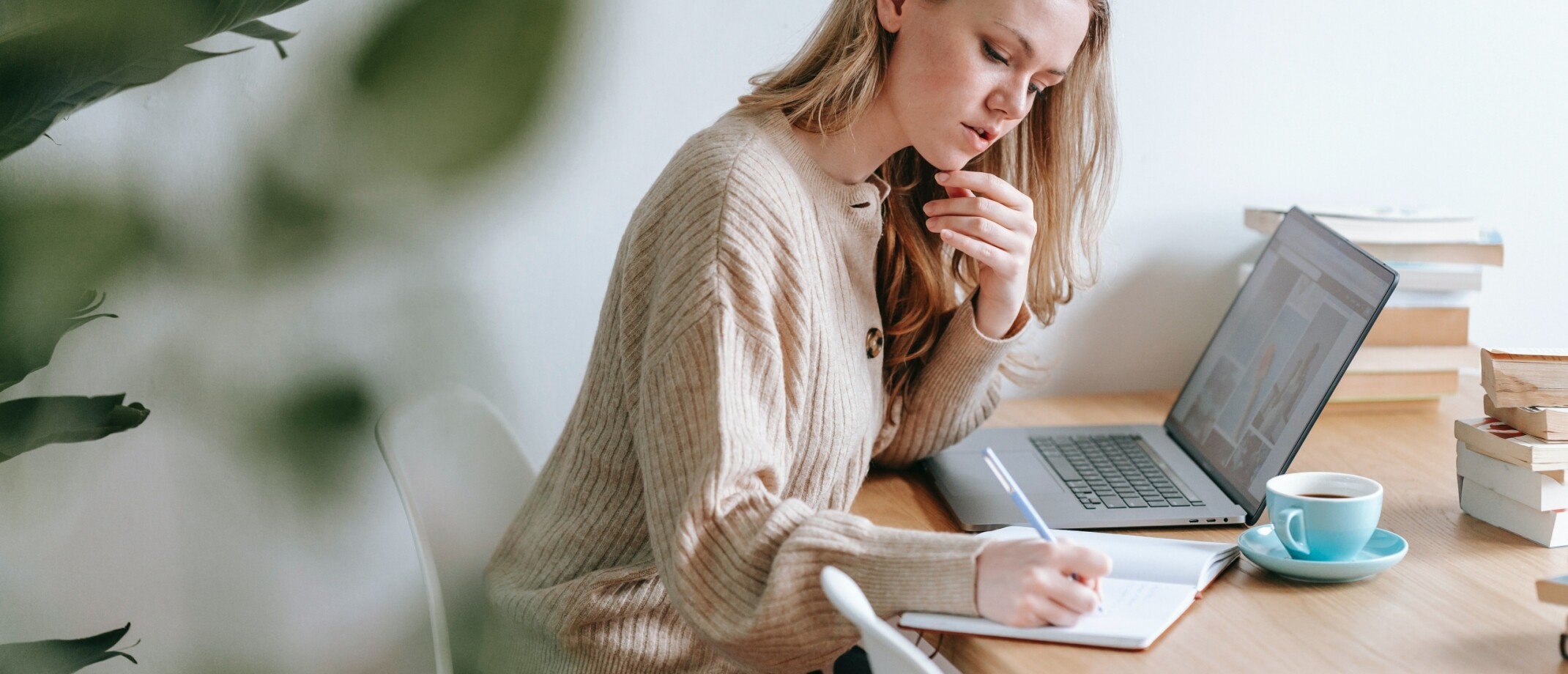 Windows 11 Enterprise vs Pro: le differenze - Softtrader