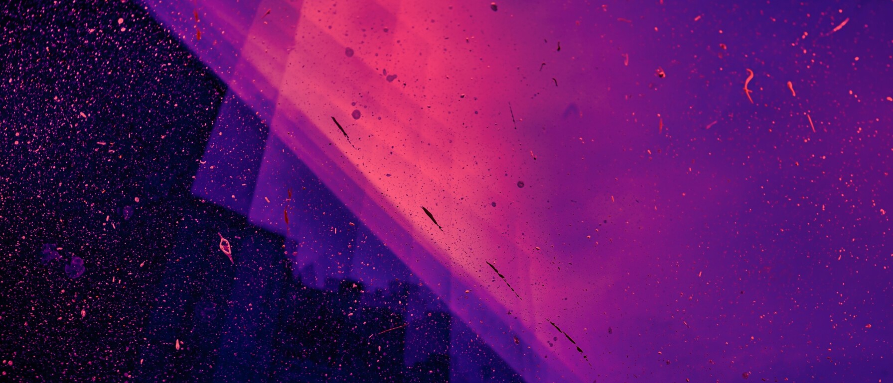 SQL Server Express e SQL Server: differenze principali