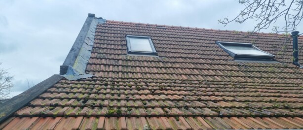 Welke soorten dakpannen zijn er? | Overzicht + voor- en nadelen