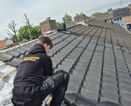 Betonnen Dakpannen Vervangen door Keramische Dakpannen: Een Complete Gids