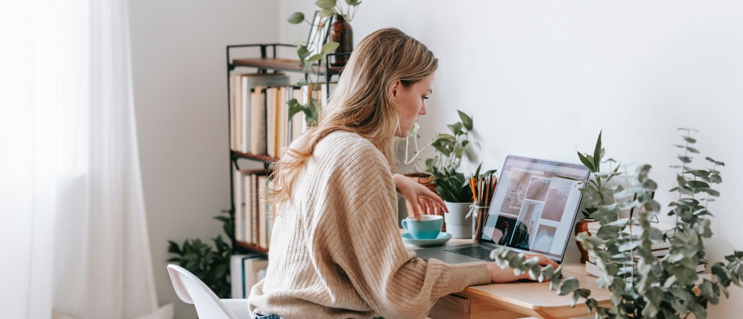 Microsoft Office Standard vs. Office Professional Plus