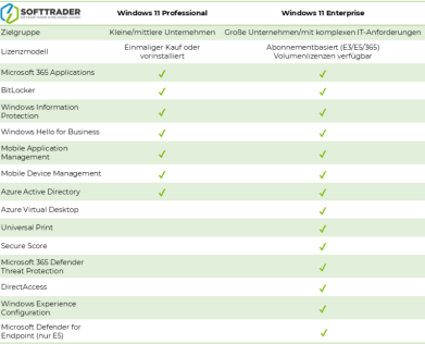 Windows 11 Enterprise vs. Pro: die Unterschiede